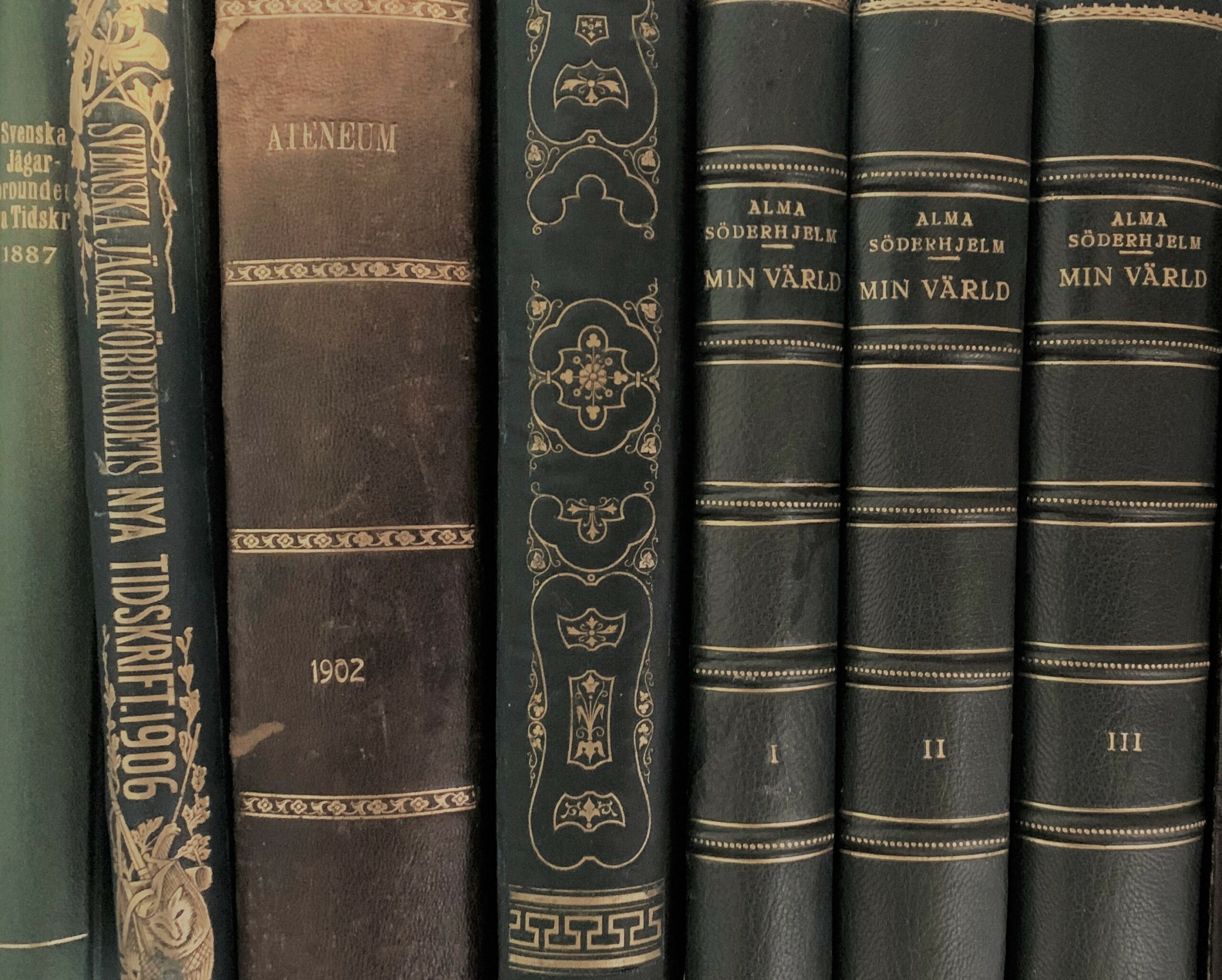 Finlandssvensk litteratur | C. Hagelstam Antiquarian Bookstore